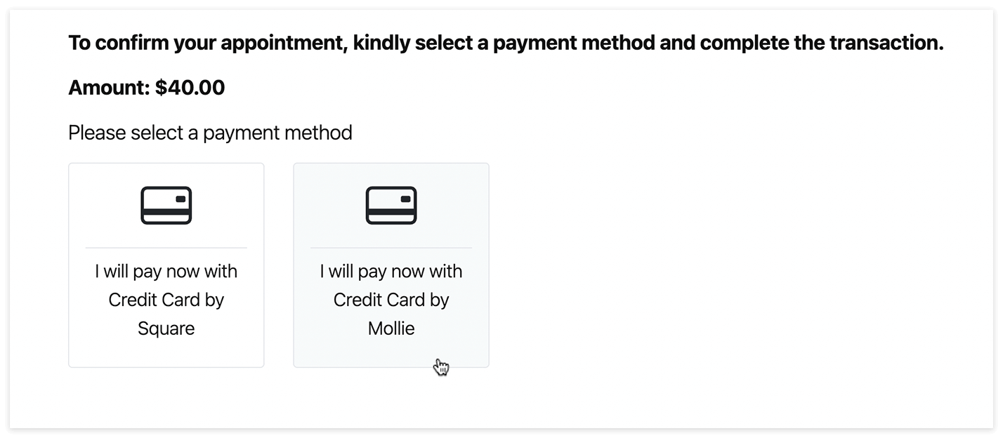 Checkout Form – Bookly Help Center